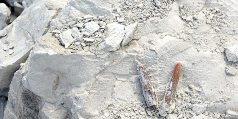 6 Main Raw Material For Cement Industry - CEMENTL