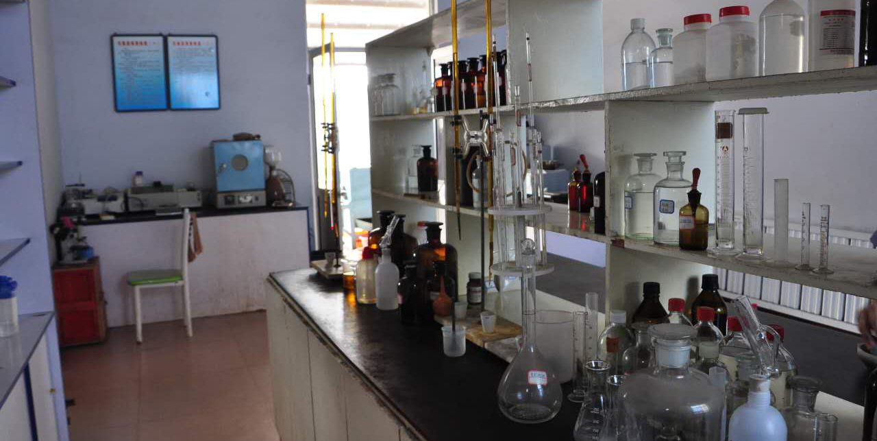 What should everyone know about mineral processing testing? - CEMENTL